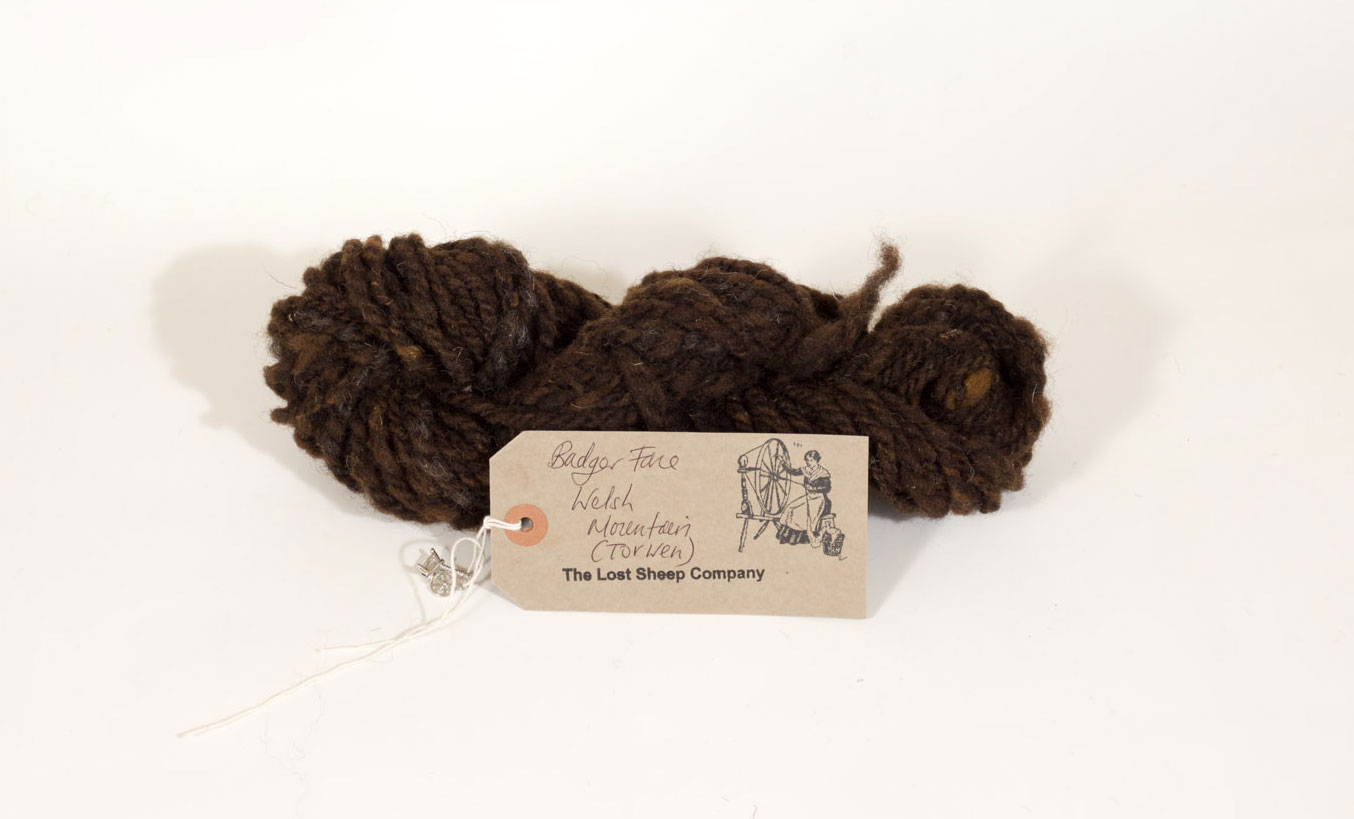 Badger Face Welsh Mountain Torwen Yarn (50g) - The Lost Sheep Company